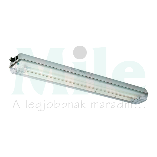Rb lámpatest fénycsöves 2-zóna/gáz 21, 22-zóna/por fénycső 2x 36W nLLK ...