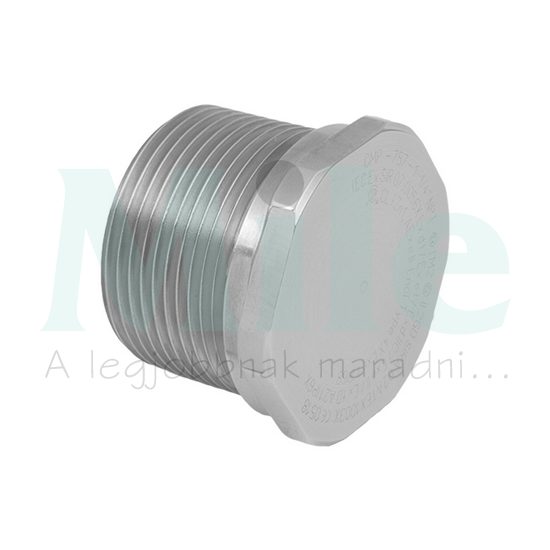 Rb tömszelence záródugó Ex-d M 16 fém CMP-757-DM-1 STAHL 757DM1 - E-mile